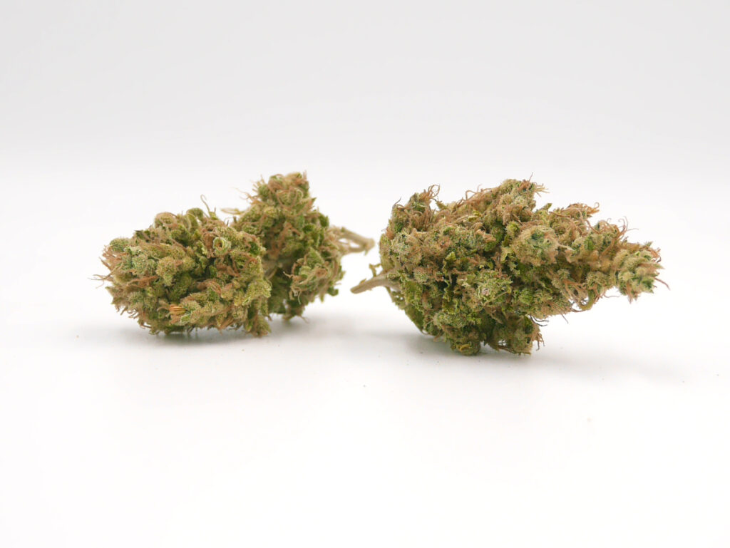 Jupiter OG - lafayettethailand